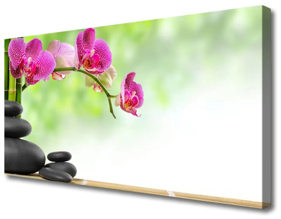 Obraz na plátně Bambusové Výhonky Kameny Zen Lázně 140x70 cm