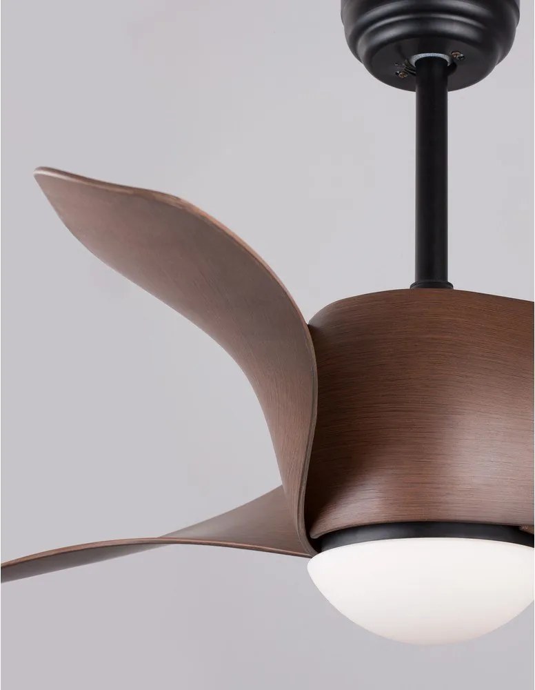 Matně černé/v tmavě přírodní barvě kovové LED stropní svítidlo se skleněným stínidlem Breeze – Nova Luce