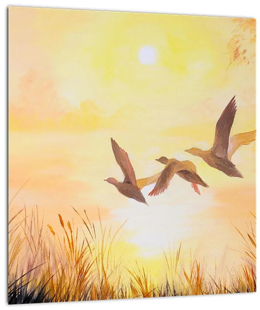 Obraz - Jeřábi při západu slunce (30x30 cm)