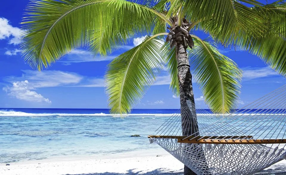 Fototapeta Beach palms and hammock vlies 416 x 254 cm