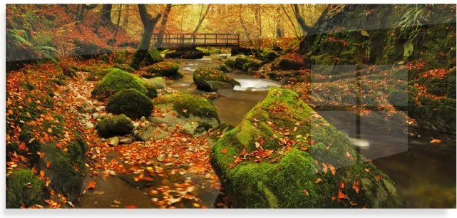 Skleněný obraz 110x50 - Podzim v lese (EXTRA - s vyvrtanými dírami) - Sablo.cz