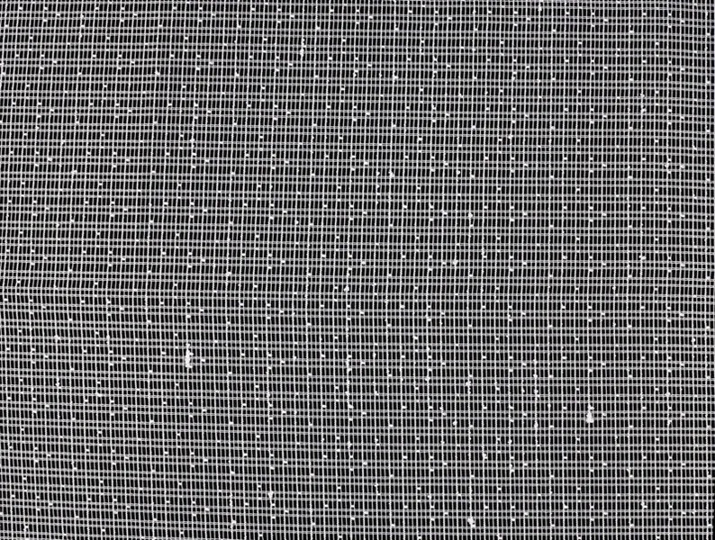Vesna | Tylex Záclona metrážová výška 200 cm Nevzorovaná hrubá A1052