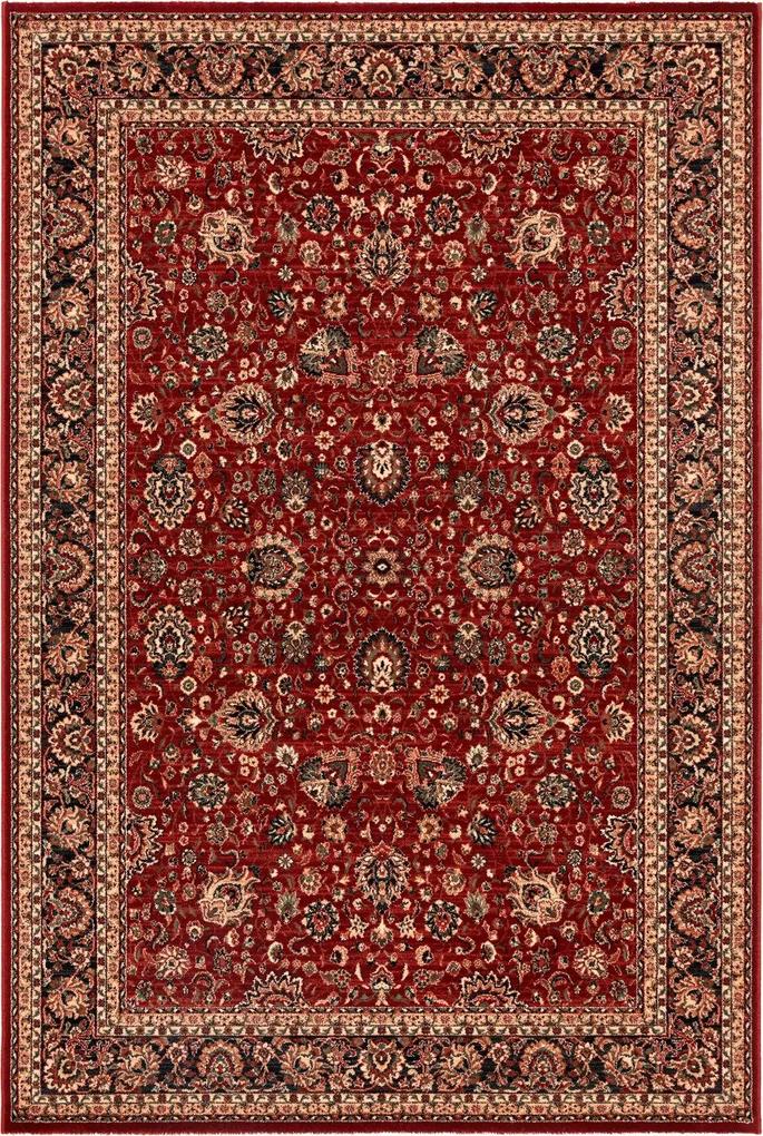Osta luxusní koberce Kusový koberec Kashqai (Royal Herritage) 4362 300 - 67x130 cm