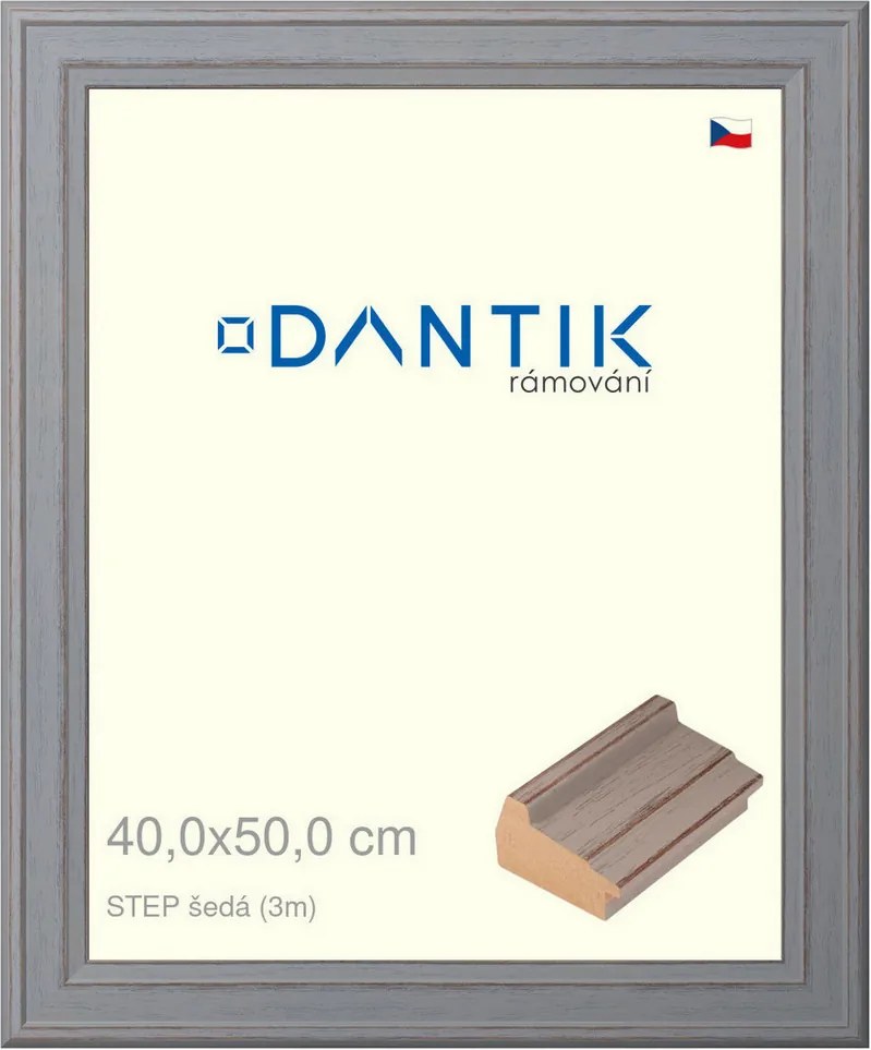 DANTIK rámeček 40x50 | STEP šedá (Sklo Čiré)