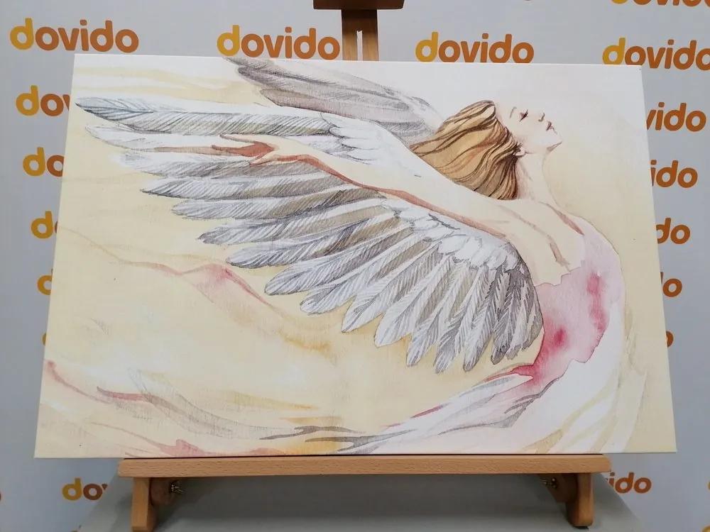 Obraz svobodný anděl - 60x40 cm