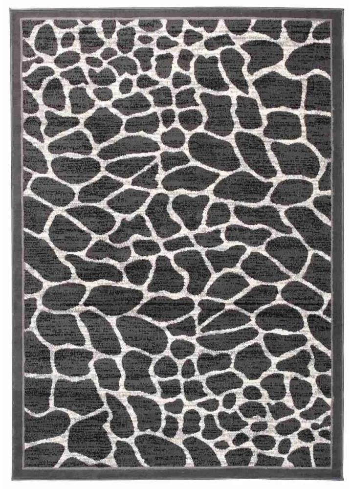 Kusový koberec PP Eglo šedý, Velikosti 80x150cm