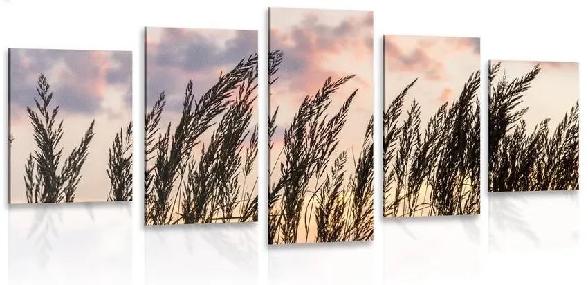 5-dílný obraz tráva při zapadajícím slunci - 100x50 cm