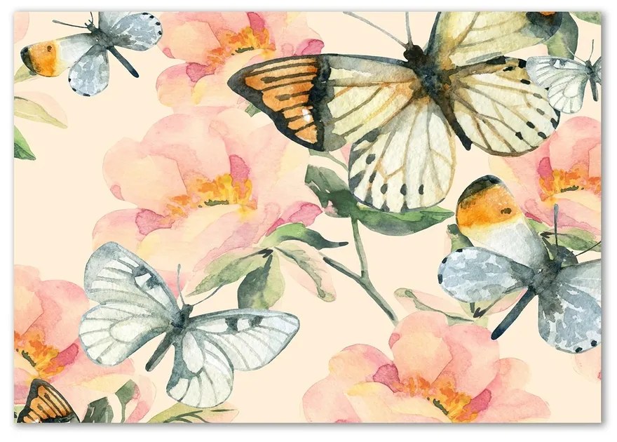 Wallmuralia Foto obraz akrylové sklo Motýli a květiny 100x70