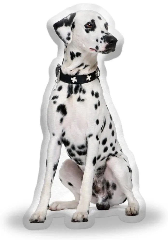 Sablio 3D polštář ve tvaru Dalmatin