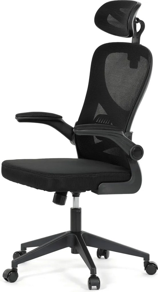 Ergonomická kancelářská židle ALEXANDRE - černá síťovina