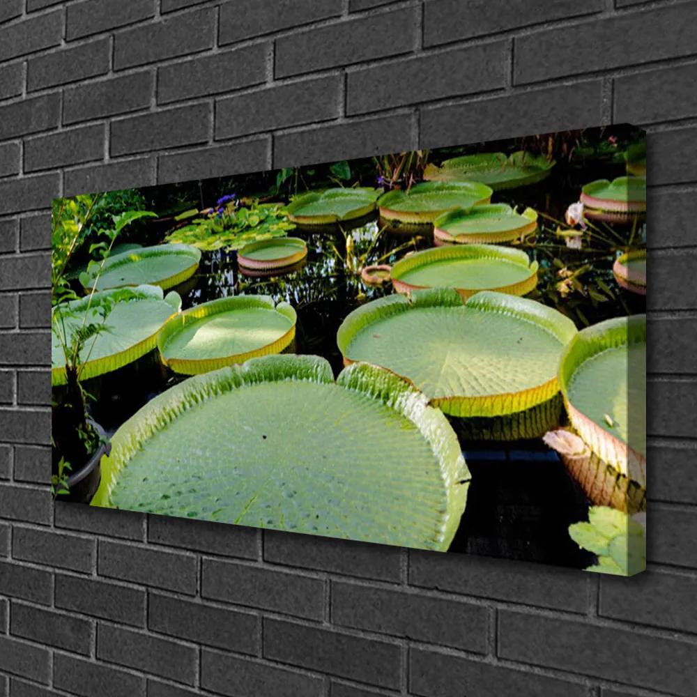 Obraz na plátně Listy Jezero Příroda 100x50 cm