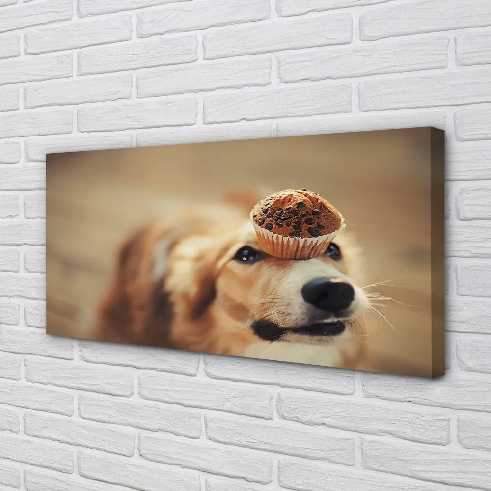 Obrazy na plátně dog bun 125x50 cm