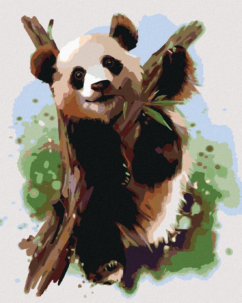 zuty malování podle čísel - panda na větvi, 40x50 cm, vypnuté plátno na rám