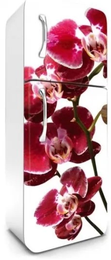 FR-180-014 Fototapeta na lednici Orchidej | 65 x 180 cm