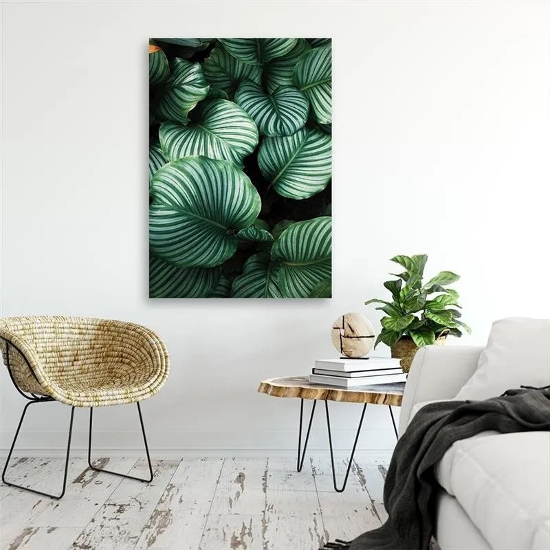 Gario Obraz na plátně Tropické listy Rozměry: 40 x 60 cm