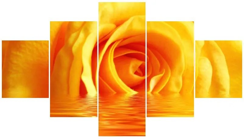 Obraz žluté růže na hladině  (125x70 cm), 40 dalších rozměrů