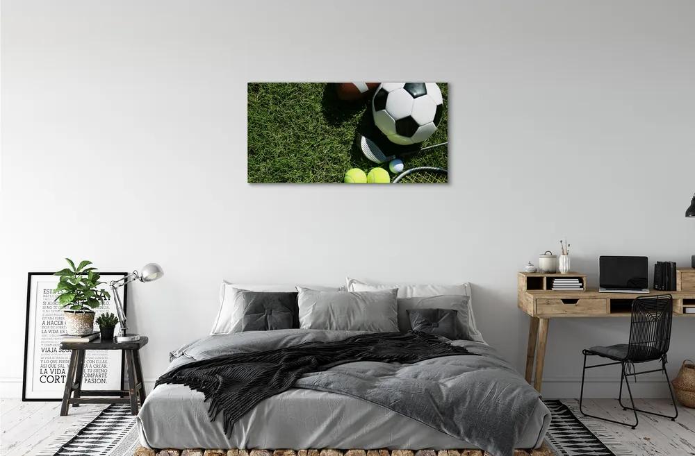 Obrazy na plátně Pádlo koule tráva 125x50 cm