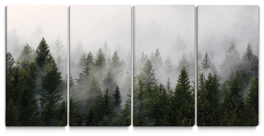 Malvis ® Vícedílný obraz Mlha v lese Velikost (šířka x výška): 120x70 cm