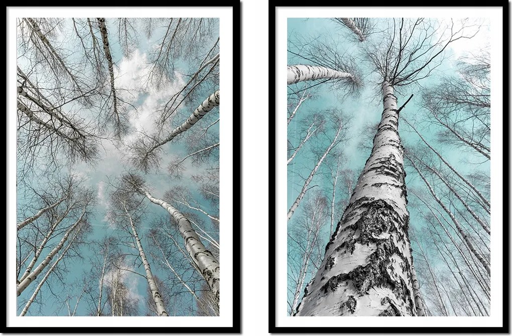 Obraz Plakát V Rámu 53x73cm Diptych Sada 2 obrazů Borovice Stromy Les P2156