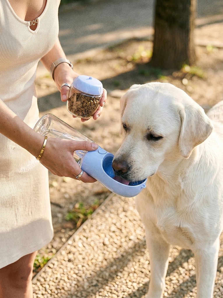 Sinsay - Láhev pro psa s nádobkou na pamlsky - modrá