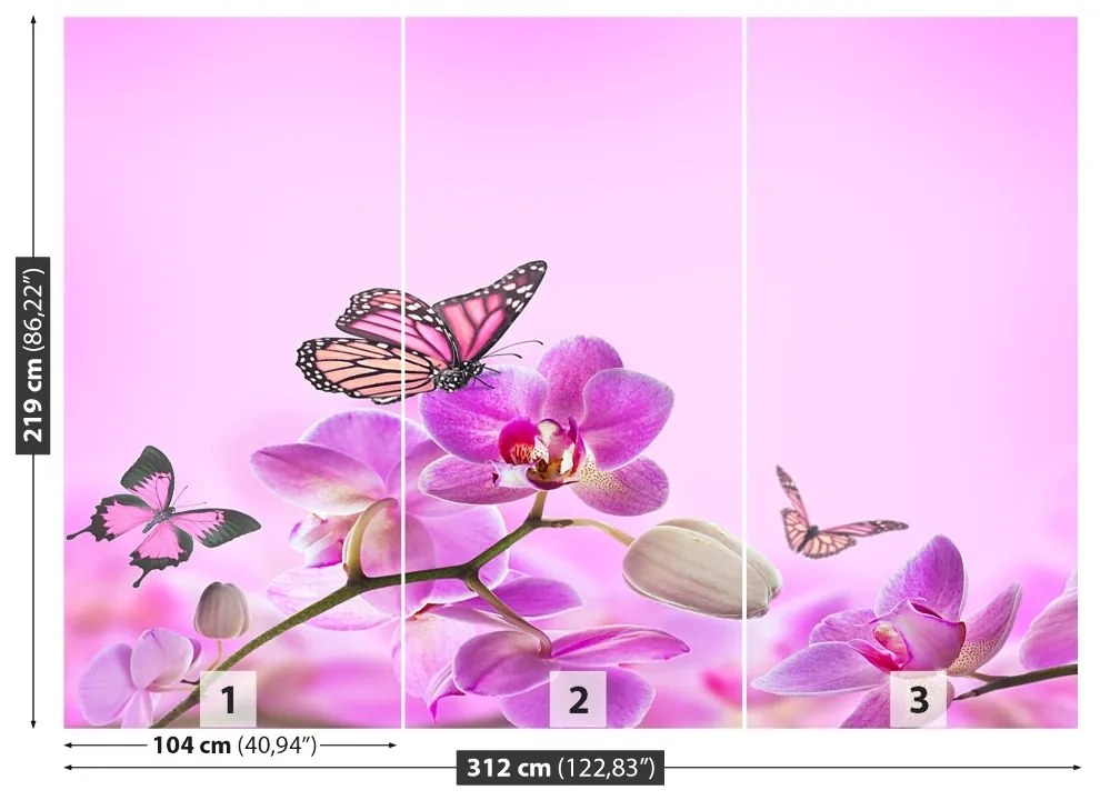 Fototapeta Orchid Motýl 104x70