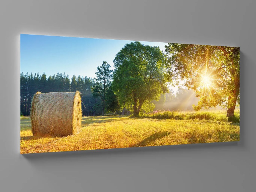 Liox Balík slámy v ranním slunci Rozměr: 150 x 65 cm