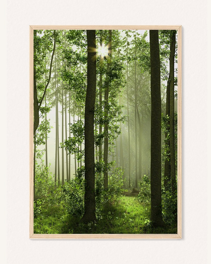 Oboustranný plakát Mlhavé Ráno / Divoký Vodopád | 30 x 42 cm | DP351323