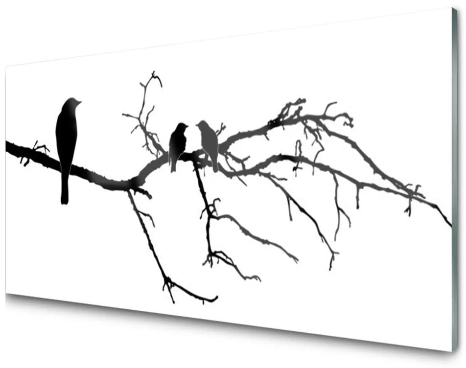 Akrylové obraz Ptáci Větev Umění