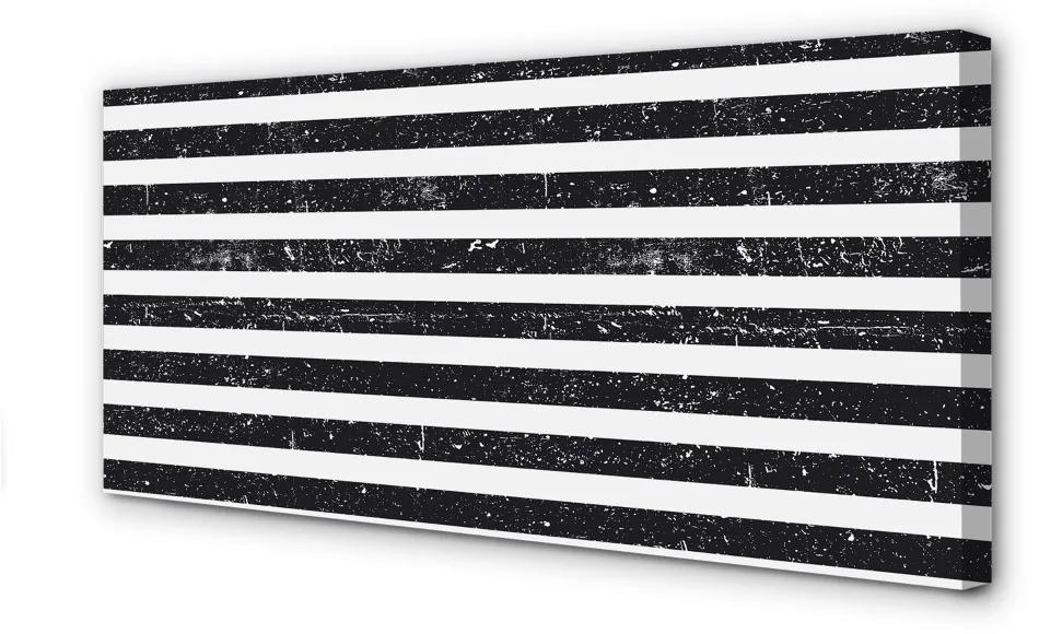 Obrazy na plátně Zebra pruhy skvrny 125x50 cm