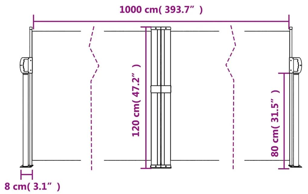 Zatahovací boční markýza antracitová 120 x 1 000 cm,  4004703