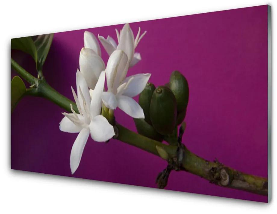 Plexisklo-obraz Květiny Úhonky Příroda 125x50 cm