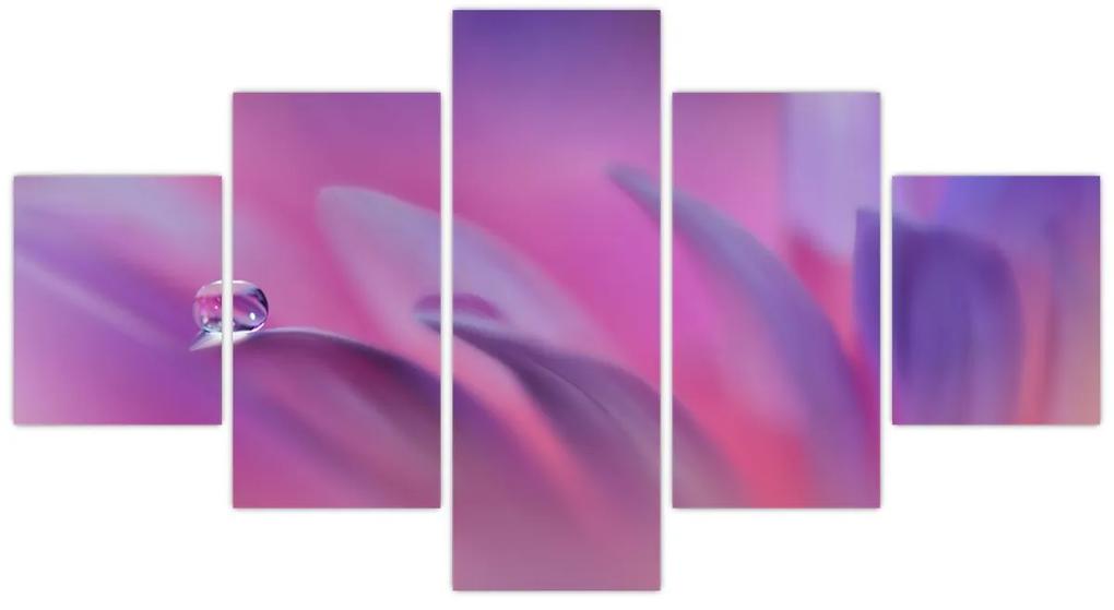 Obraz - Kapka na květu (125x70 cm)