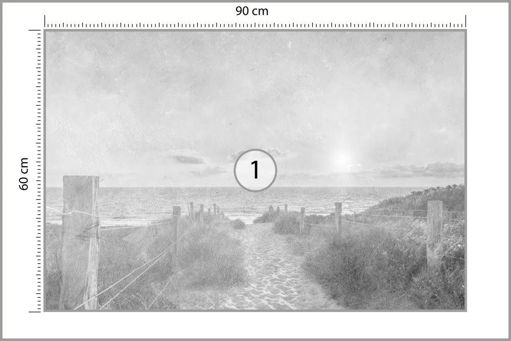 Fototapeta Letní Západ Slunce Vybledlé Vintage Černobílé Samolepící tapety 416x290