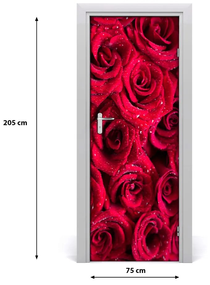 Fototapeta na dveře Červená růže 75x205 cm
