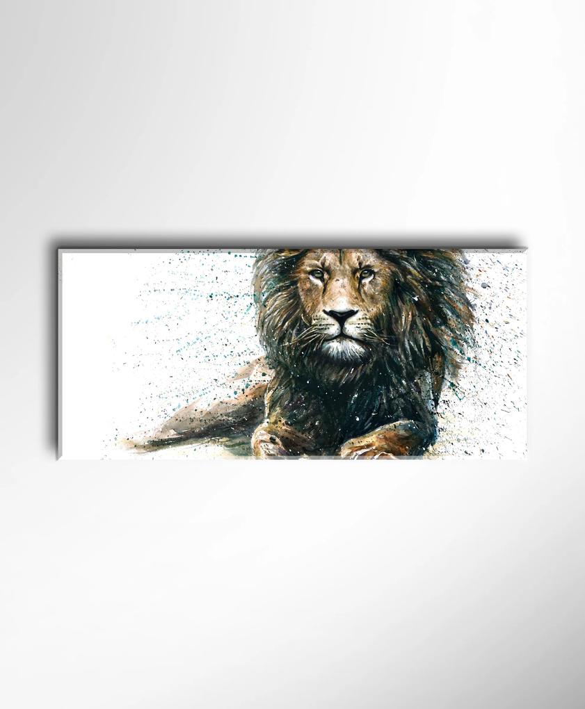 Malvis ® Obraz Lev akvarelem ROZMĚR (šířka x výška): pětidílné schody obdélník 150x75 cm