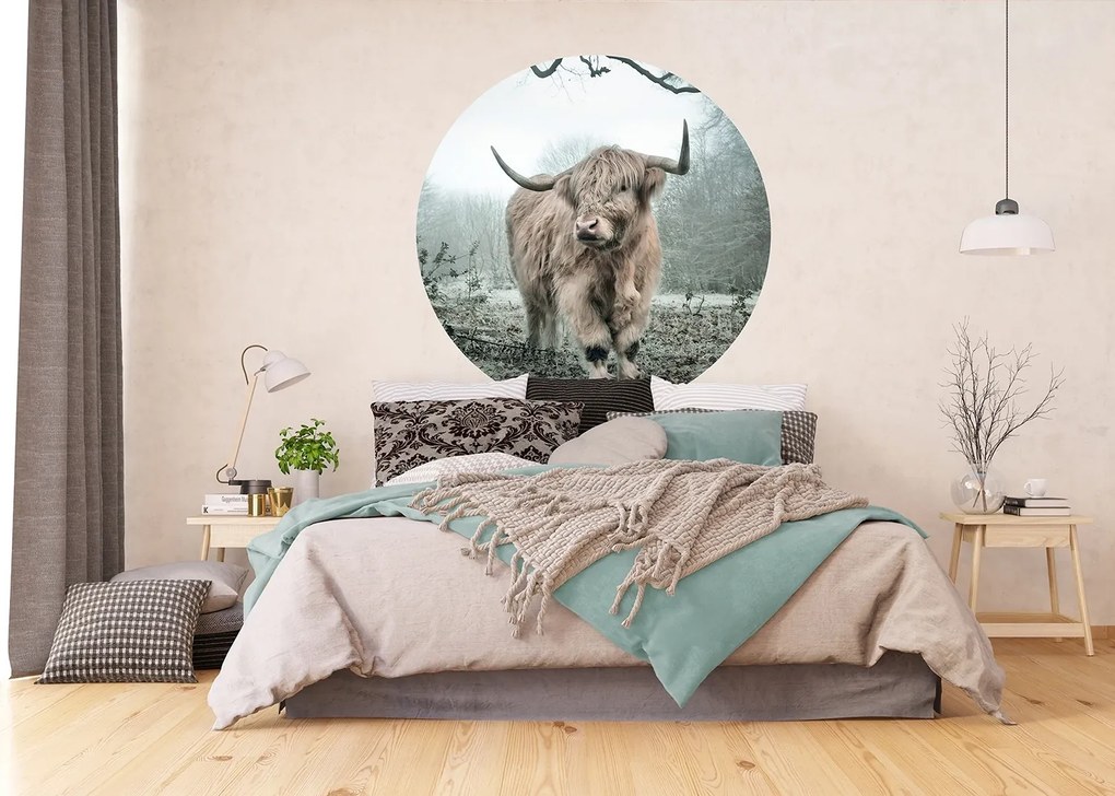 Samolepící vliesová fototapeta na zed' Majestátný Skot | 140 x 140 cm | DCR3329