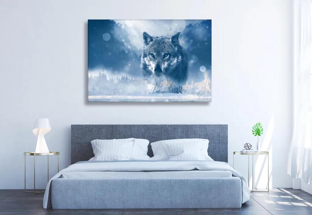 Malvis ® Obraz vlk v zimě Velikost (šířka x výška): čtverec - 50x50 cm