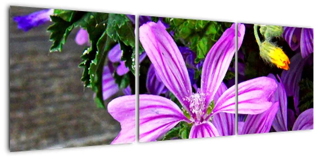Obraz - luční květiny (120x40 cm), 40 dalších rozměrů