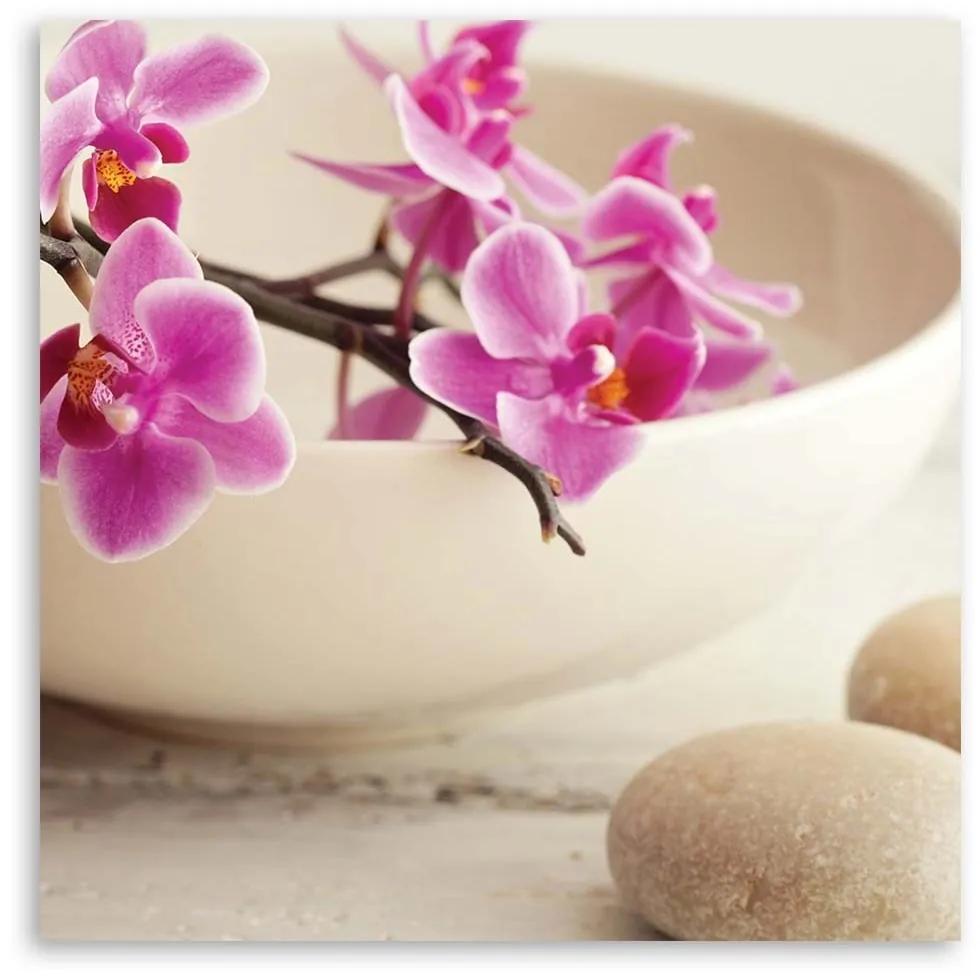 Obraz na plátně Růžové zenové orchideje - 50x50 cm