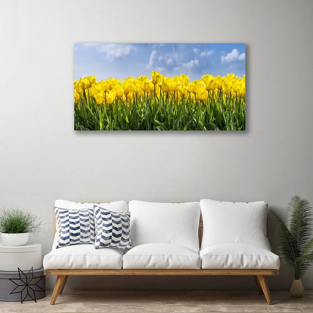 Obraz na plátně Tulipány Květiny Rostlina 120x60 cm