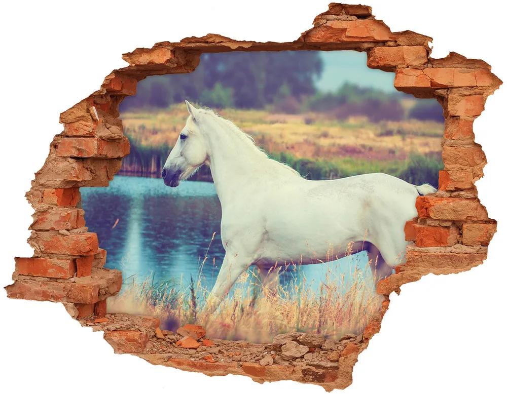 Wallmuralia Díra 3D fototapeta nálepka Bílý kůň jezero 90x70 cm