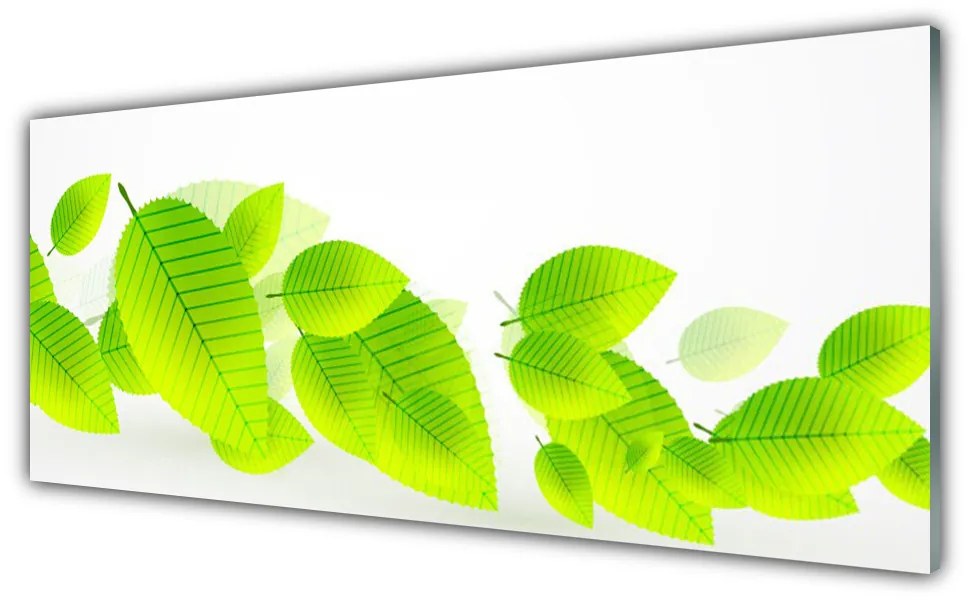 Plexisklo-obraz Listy Květiny Příroda 125x50 cm