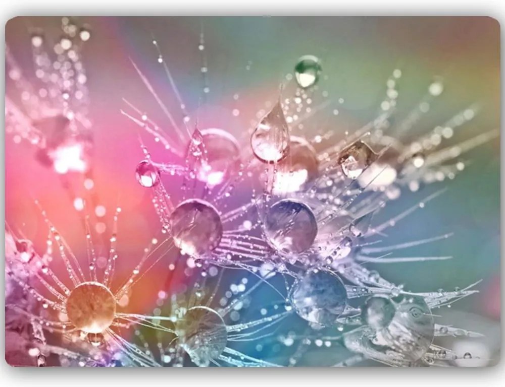 CARO Kovový obraz - Drops Of Water On A Blower 3 60x40 cm