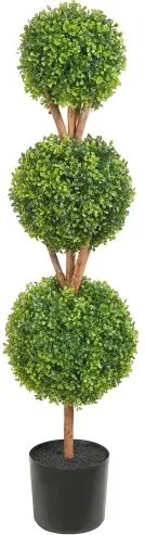 Umělé topiary Zimostrázové stromy, 121,9 cm
