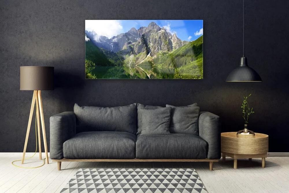 Plexisklo-obraz Tatry Hory Mořské Oko Les 120x60 cm