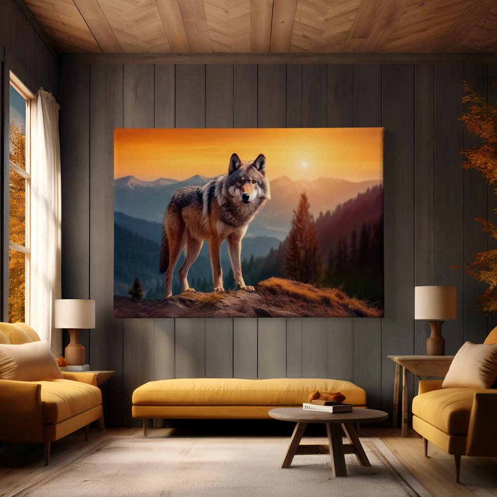 Obraz na plátně - Vlk chytá poslední paprsky slunce FeelHappy.cz Velikost obrazu: 120 x 80 cm