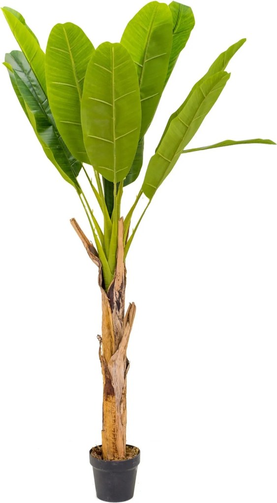 Banánovník umělý V 150 cm