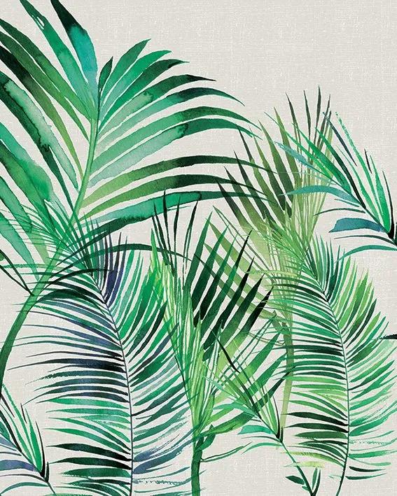 Obraz na plátně - Summer Thornton, Palm Leaves