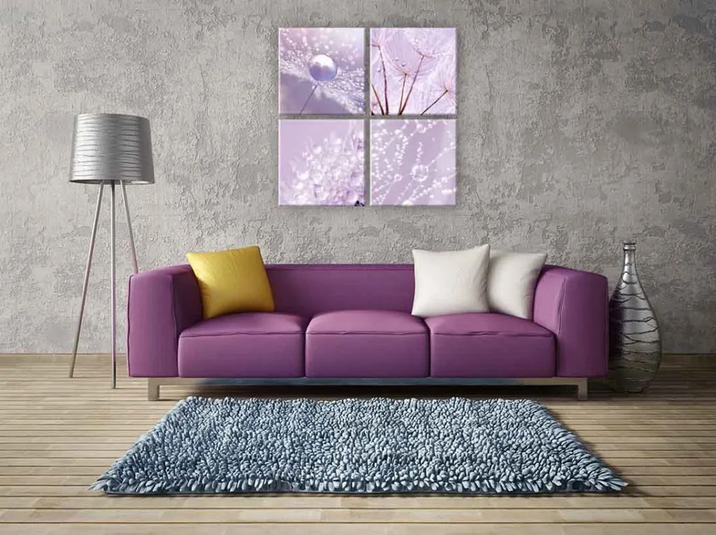 Obraz Pampeliška Pink Velikost (šířka x výška): 60x60 cm
