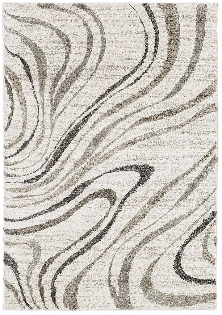Koberce Breno Kusový koberec CASTRO Carved 162/NQ2W, Vícebarevné, 120 x 170 cm